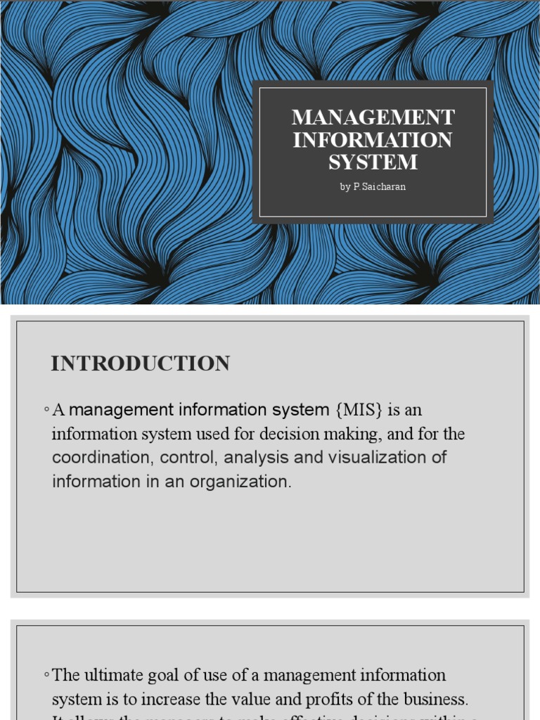 Management Information System | PDF