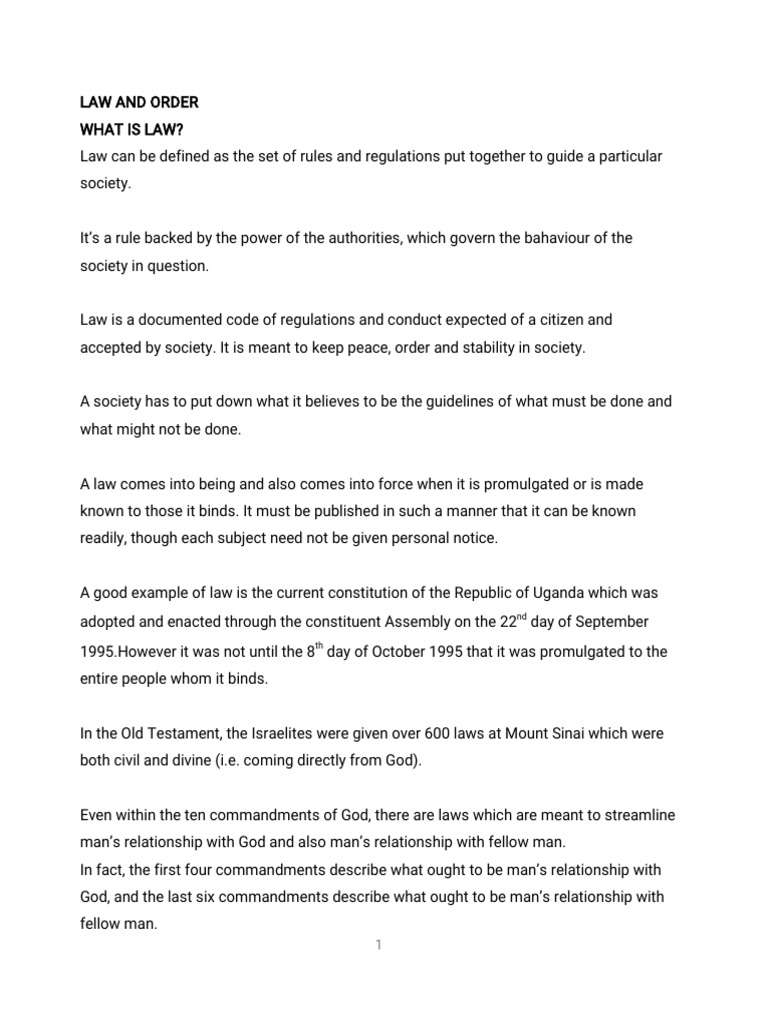 S6 Div 4 Law and Order MS Flavia | PDF