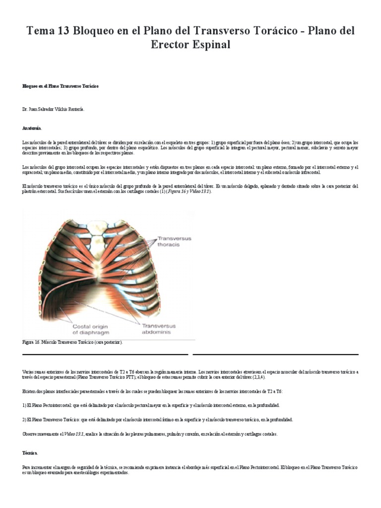 Anatomía Del Bloqueo Del Nervio Intercostal Analgesia Regional En