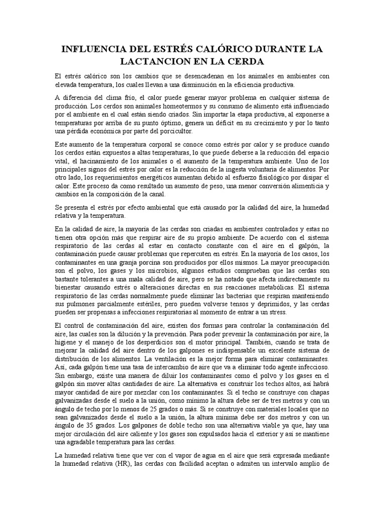 Estrés Calórico en Cerdas Lactantes | PDF | Humedad | Termorregulación