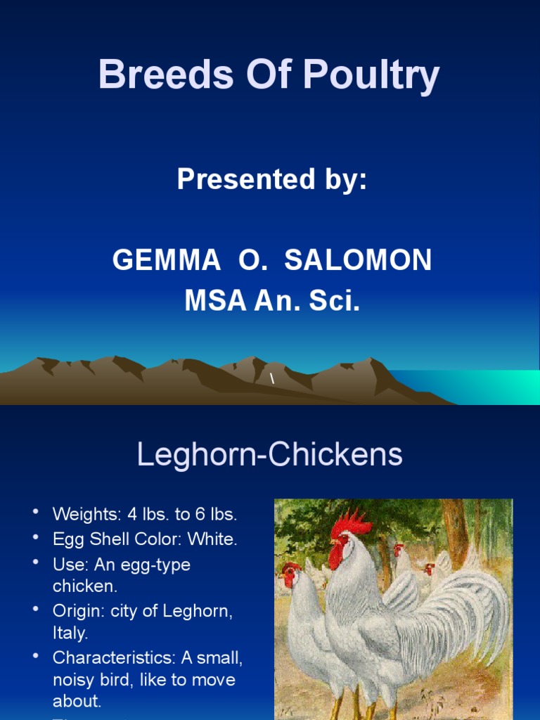 Chicken Breeds | PDF | Poultry | Chicken