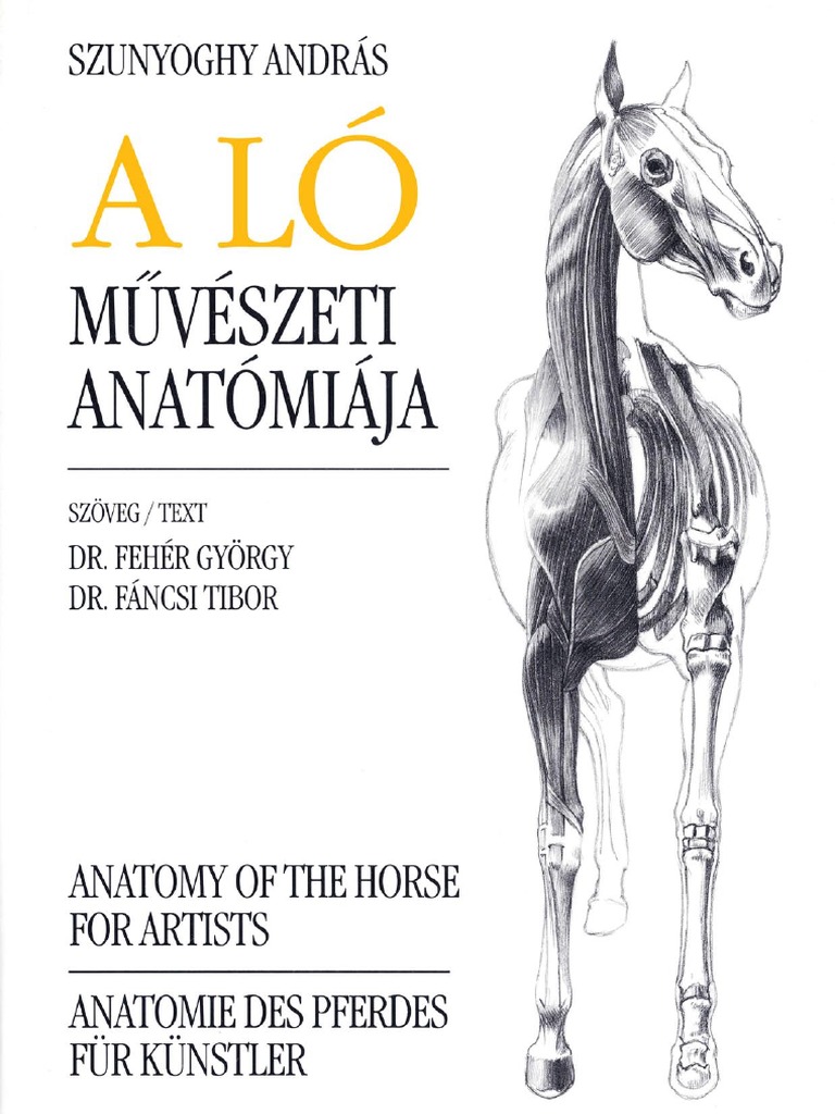Anatomy of The Horse For Artists (In Hungarian, English, German) András ...