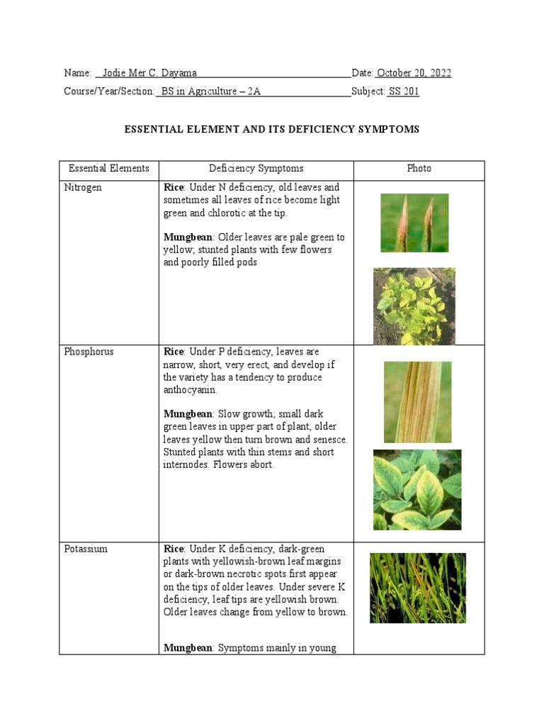 Nutrients Deficiency Symptoms | PDF | Leaf | Horticulture