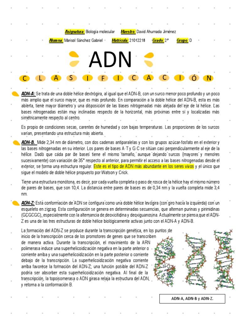 ADN | PDF | Adn | Cromatina