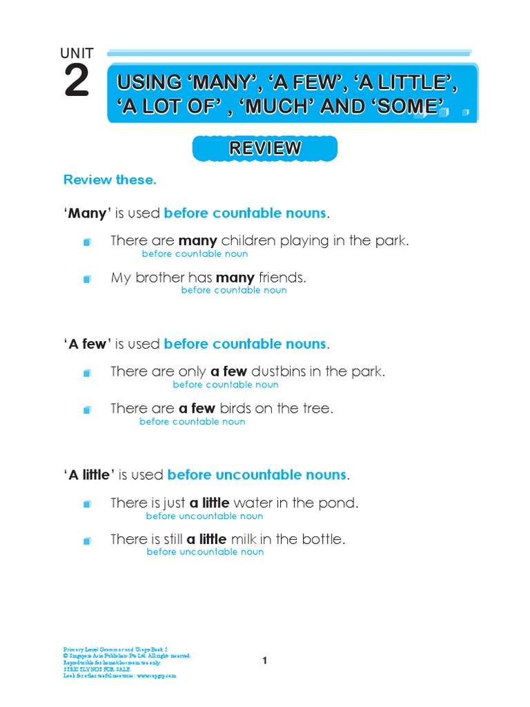 Unit 2 Using Many A Few A Little A Lot of Much Some | PDF | Noun ...