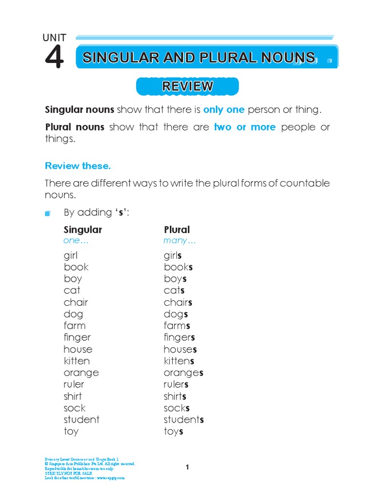 Unit 4 Singular and Plural Nouns | Download Free PDF | Grammatical ...