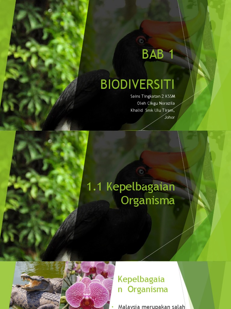 Bab 1 Biodiversiti Pdf