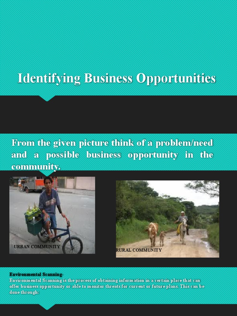 Identifying Business Opportunities | PDF | Business Economics | Economies