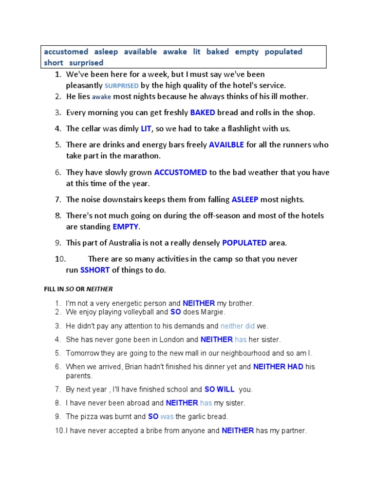 Essay Exercises | PDF