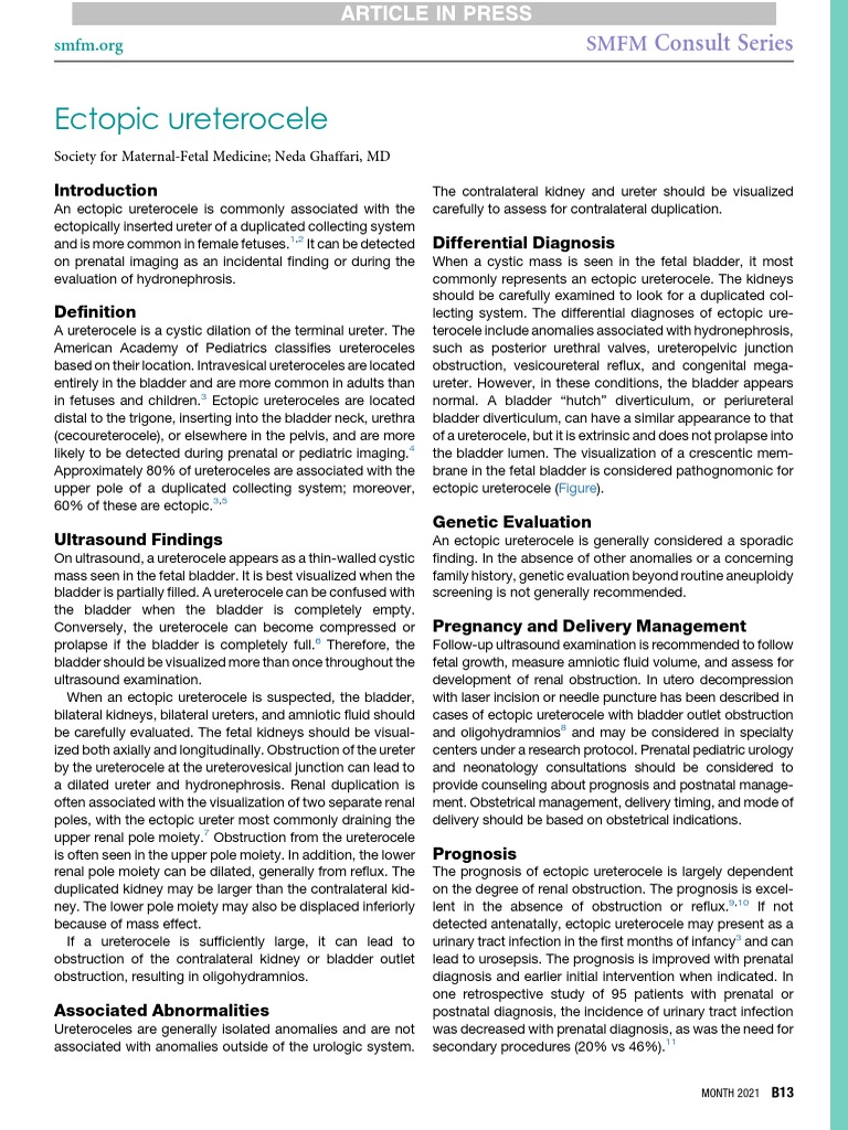 Ectopic Ureter 1 | PDF | Anatomy | Medical Specialties