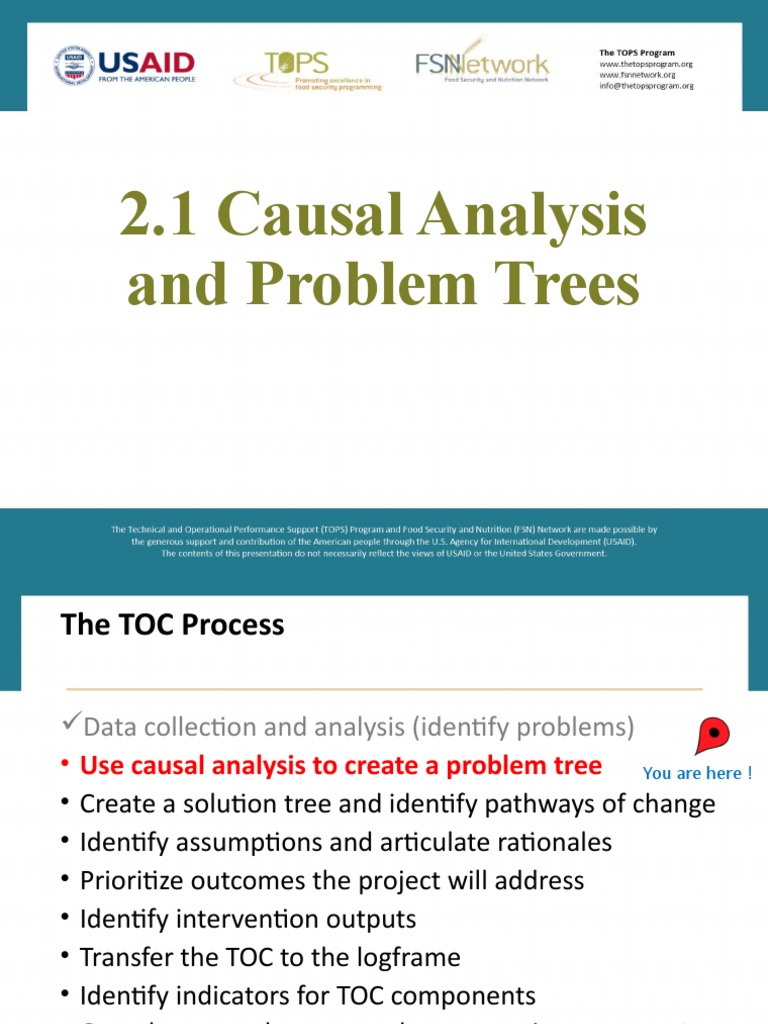 2.1 Causal Analysis and Problem Trees v6 | PDF | Attitude (Psychology) | Causality