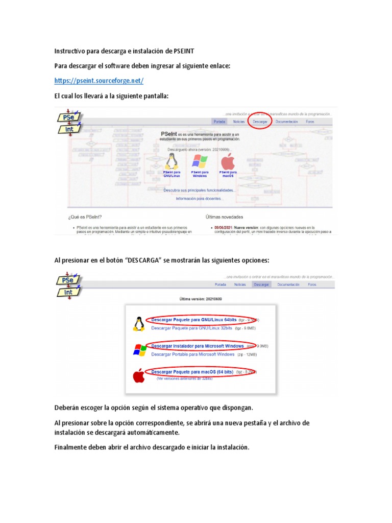 Instructivo PSEINT | PDF