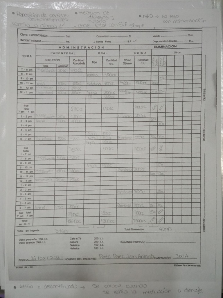 Hoja de Ingesta y Eliminación | PDF