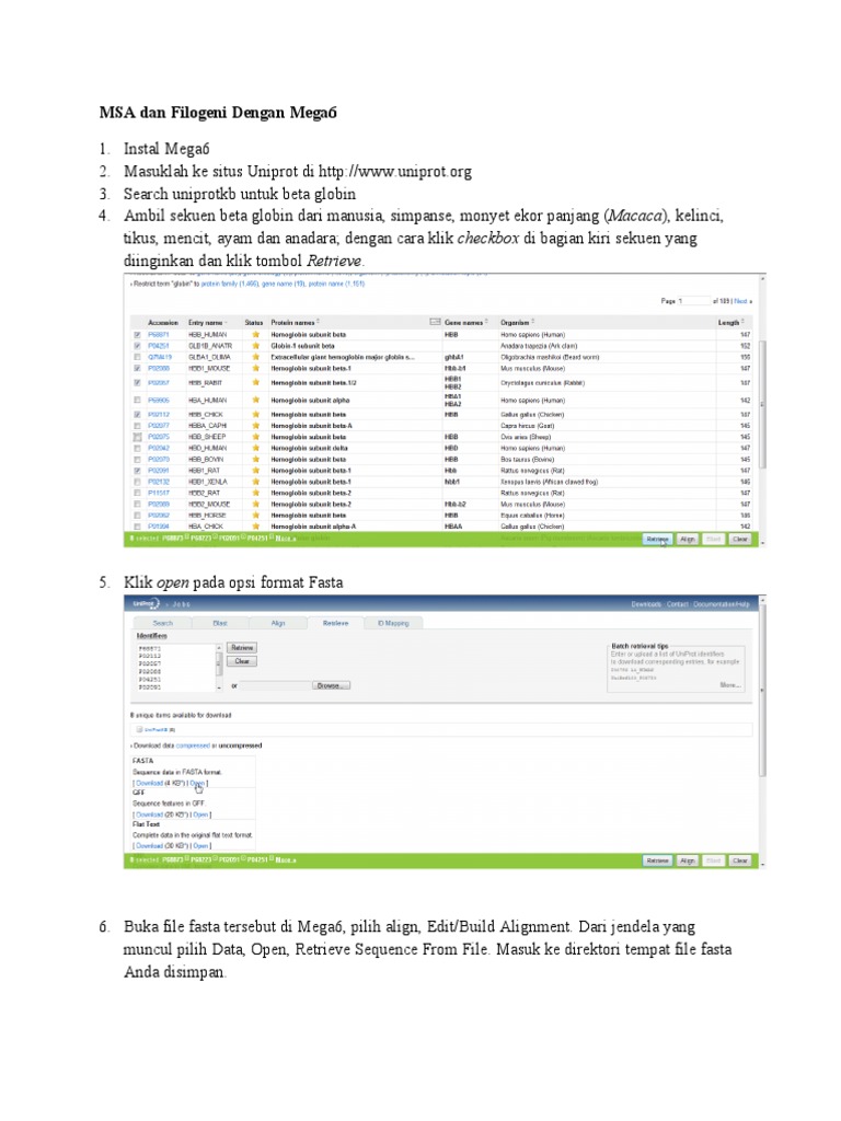 Tutorial 5B. MSA Dan Filogeni Dengan Mega5 | PDF