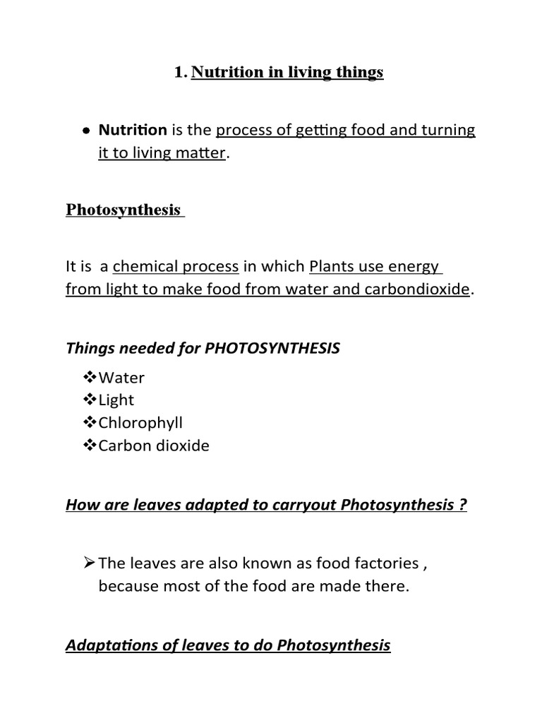 Nutrition in Living Things - Abi Science - Chapter 1 | PDF | Leaf ...