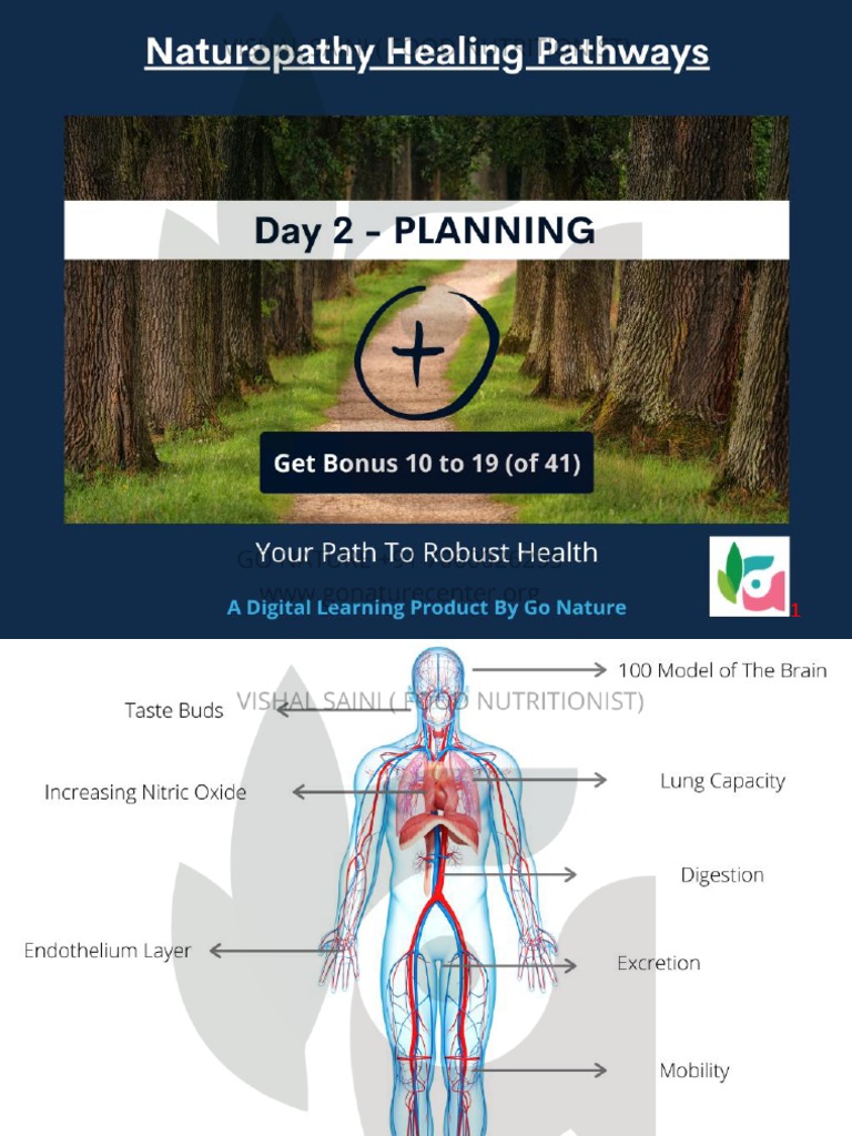 Day 2 Training Planning | Download Free PDF | Turmeric | Water