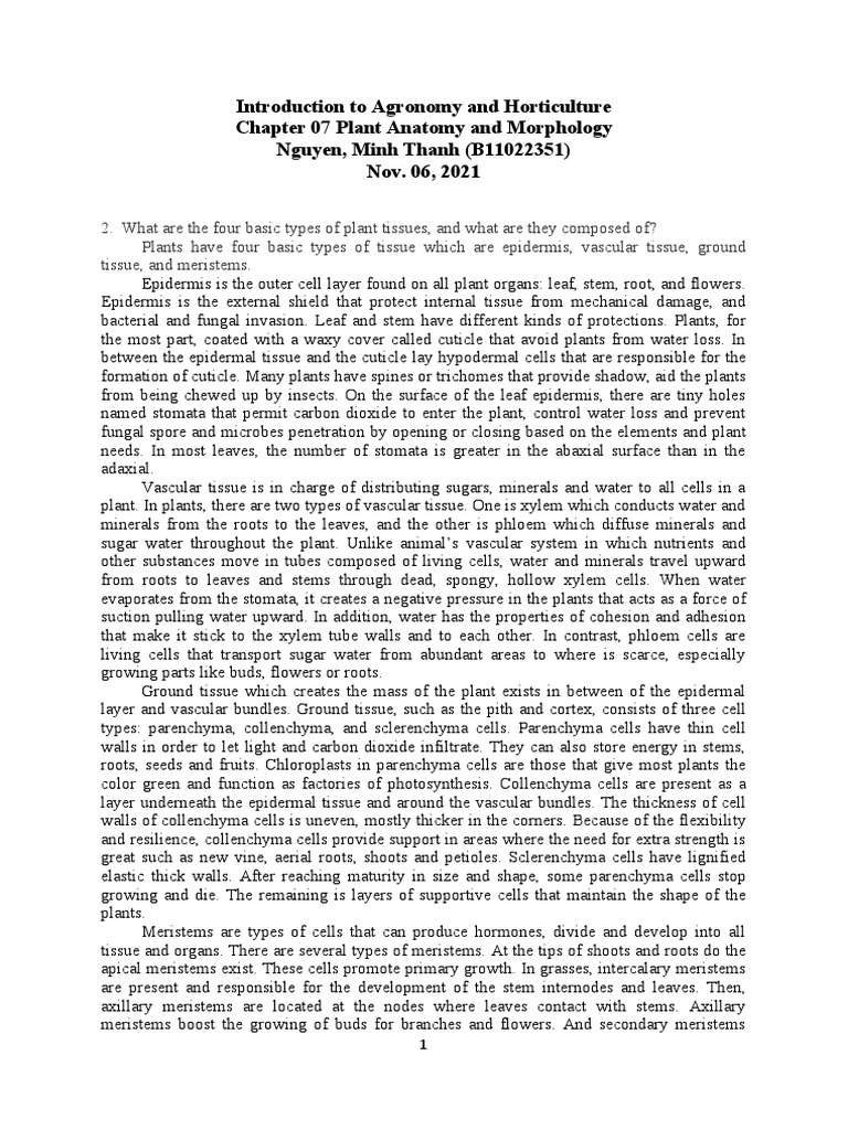 Agronomy Assignment 3 | PDF | Leaf | Tissue (Biology)