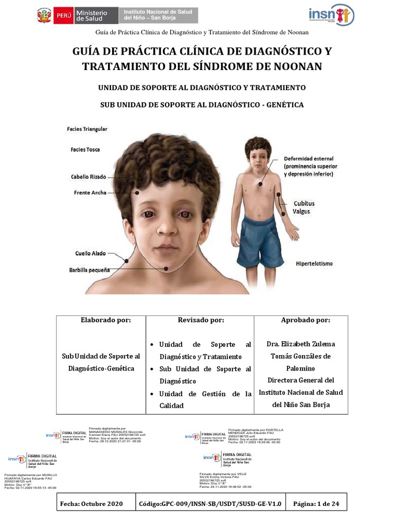 RD Nâ° 000244-2020-Dg-Insnsb Gpc-009-Insnsb-Usdt-Susd-Ge DT SD Noonan V1 2 | PDF | Diagnostico ...