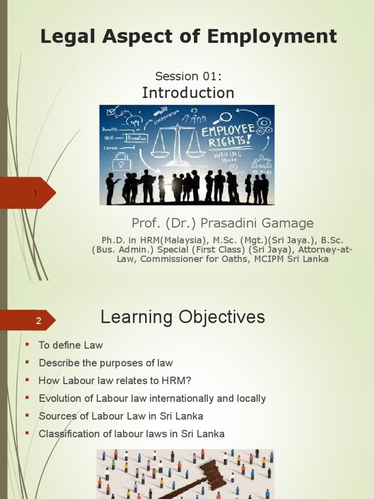 Introduction To Employment Law | PDF | Labour Law | Mercantilism