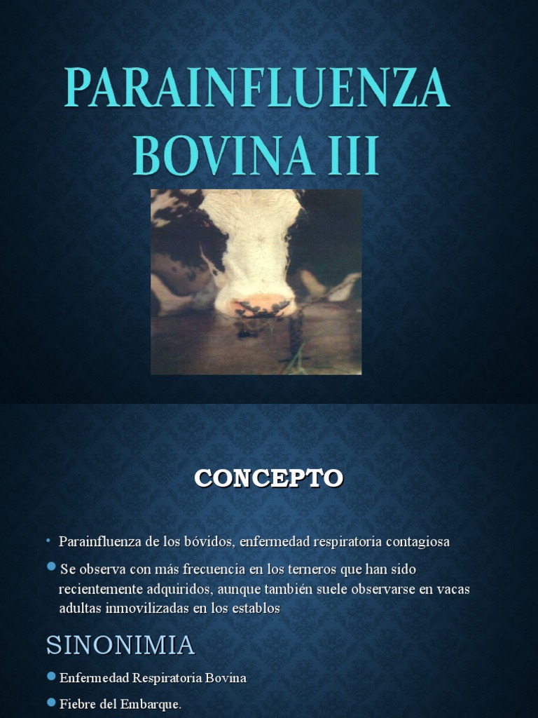 Parainfluenza Bovina: Causas y Tratamiento | PDF | Virus | Resfriado comun
