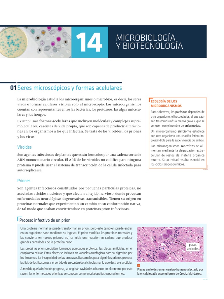 T14 Edelvives Microbiología y Biotecnología | PDF | Virus | Las bacterias