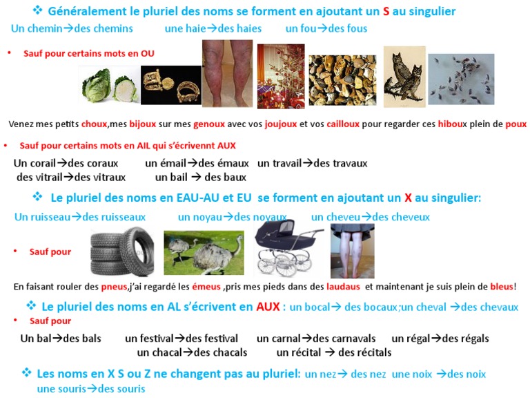 Le Pluriel Des Noms Power Point | PDF