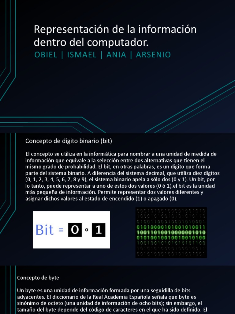 Representación de La Información Dentro Del Computador | PDF | Byte | Poco