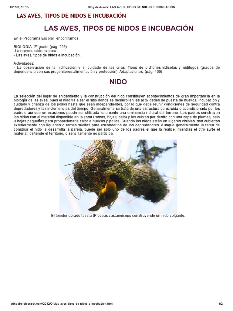 Las Aves, Tipos de Nidos e Incubación | PDF