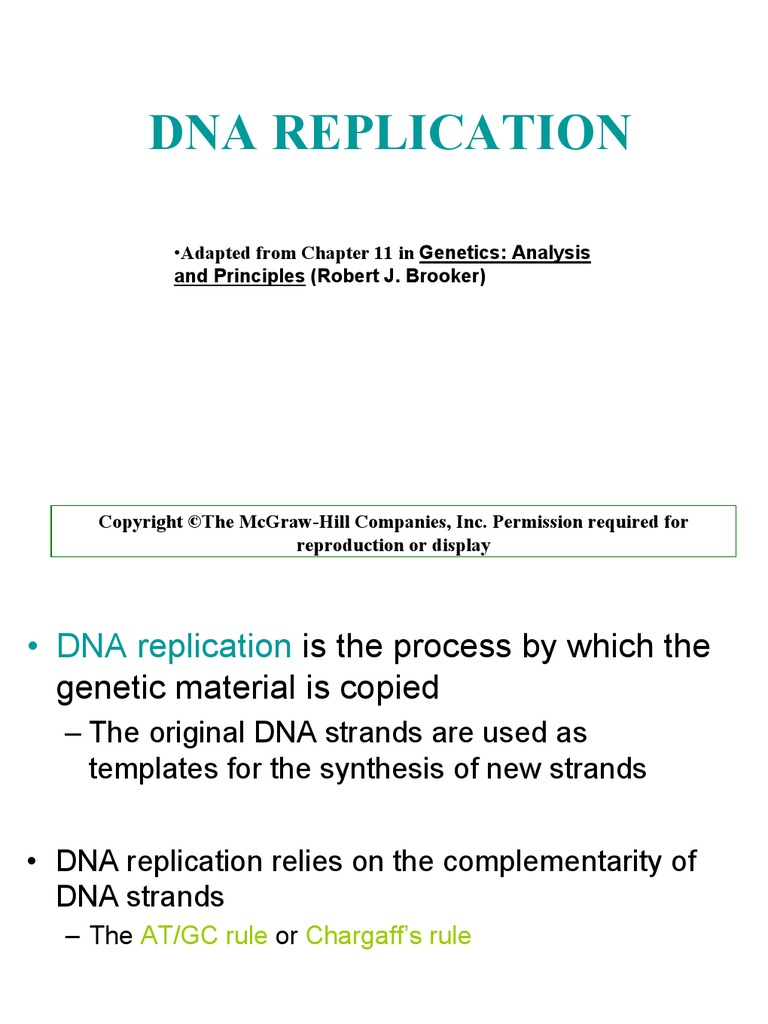 LSM1102 - Lec 2a - DNA Replication - Part I | PDF | Dna Replication ...
