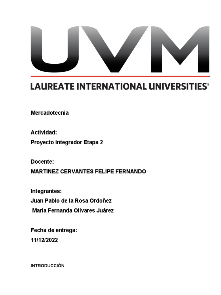Proyecto Integrador Merca Parte 2 | PDF | Marketing | Experimentar