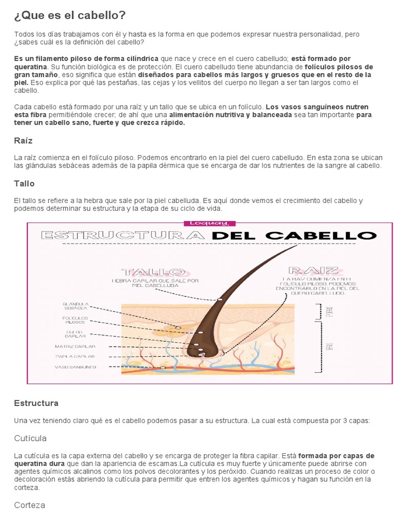 Que Es El Cabello | PDF | Pelo | Piel