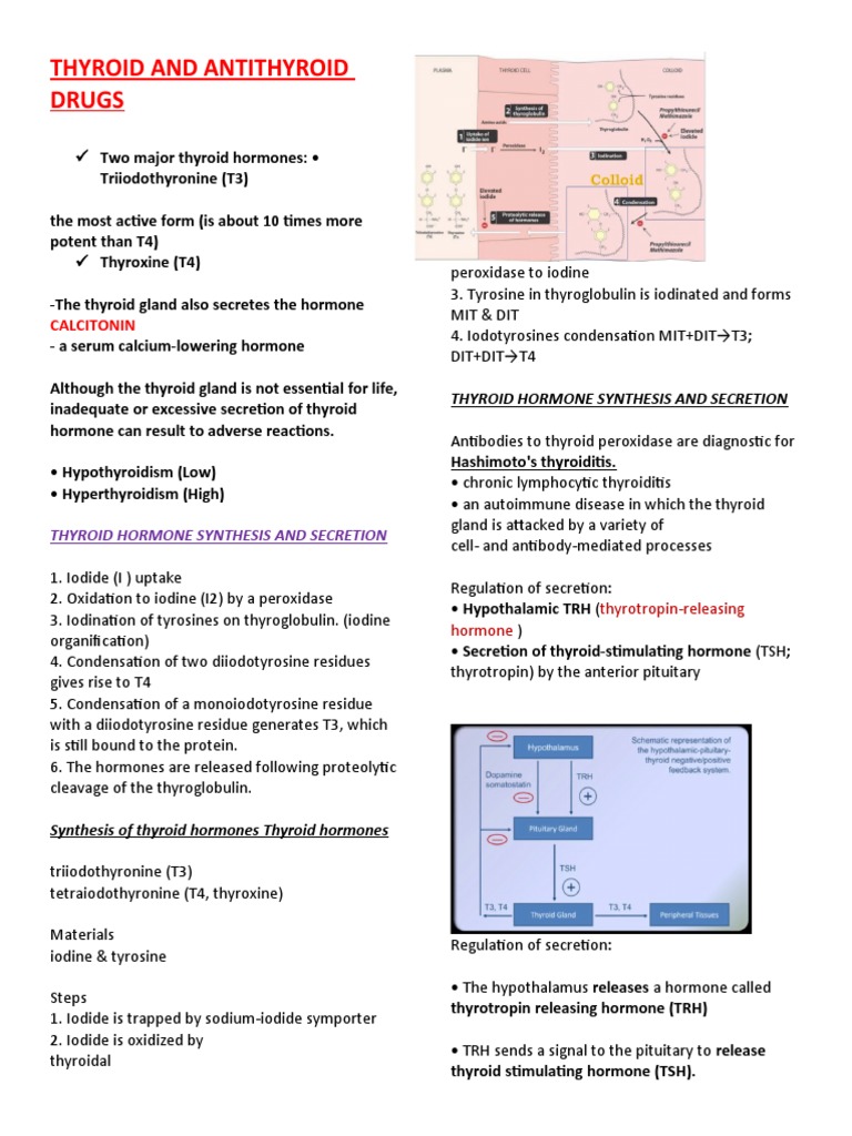 Regulation of the Thyroid Gland, Synthesis of Thyroid Hormones, Causes and Treatment of ...