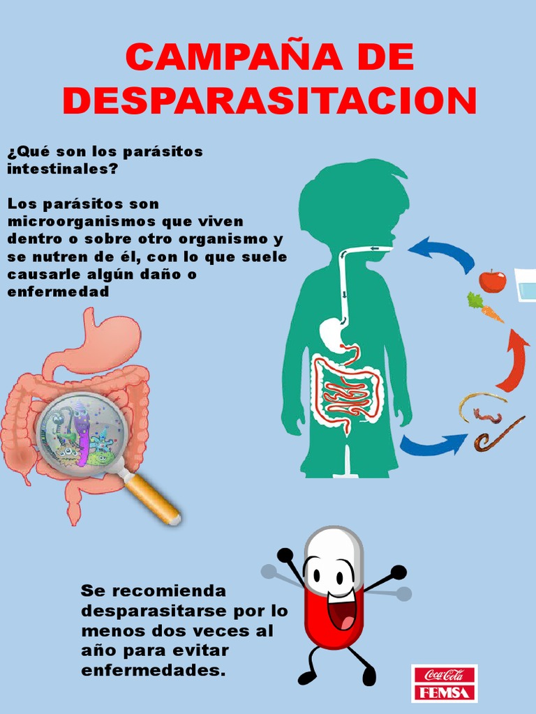 Presentación4 Desparasitacion | PDF