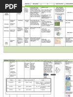 Piedraia Hortae | PDF | Hongo | Infección