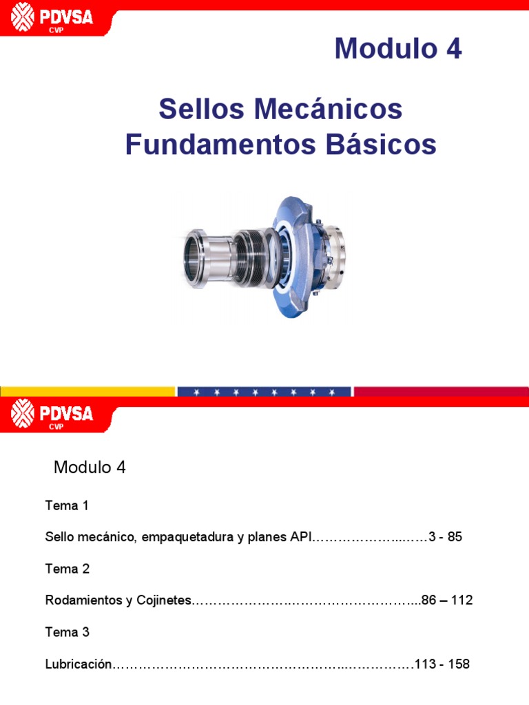Modulo 4 Sellos Mecanicos Planes API, Rodamientos y Cojinetes ...