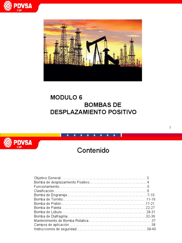 Modulo 6 Bomba de Desplazamiento Positivo | PDF | Bomba | Engranaje