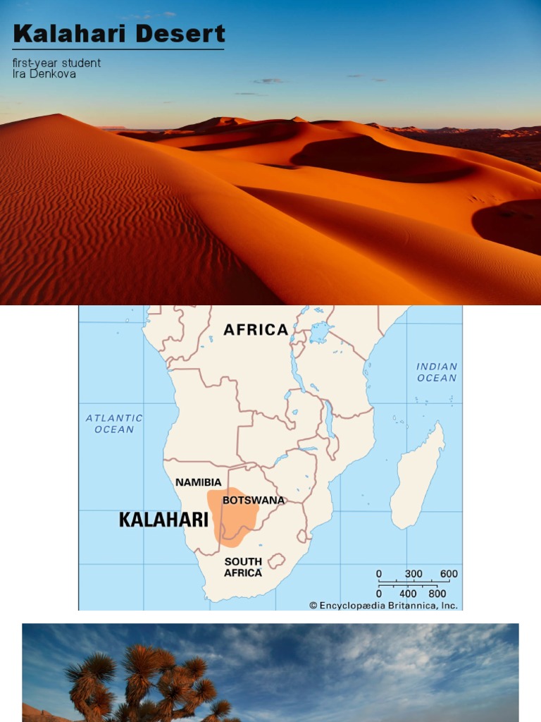 Kalahari Desert: Location and Facts | PDF
