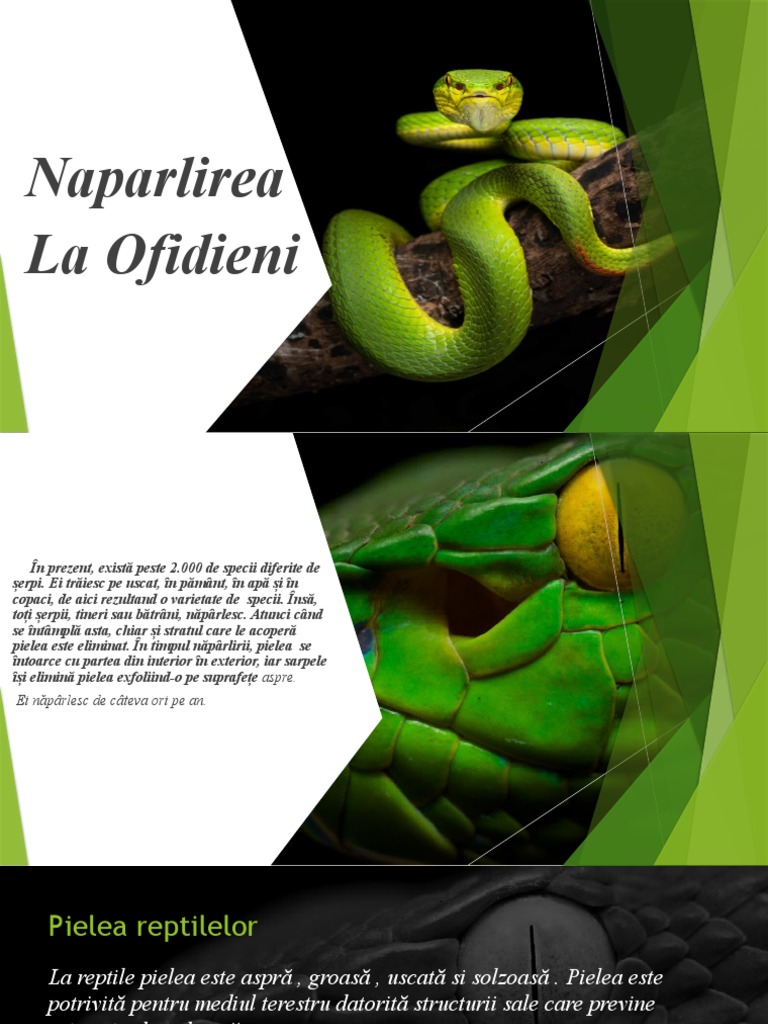 Naparlirea La Serpi | PDF
