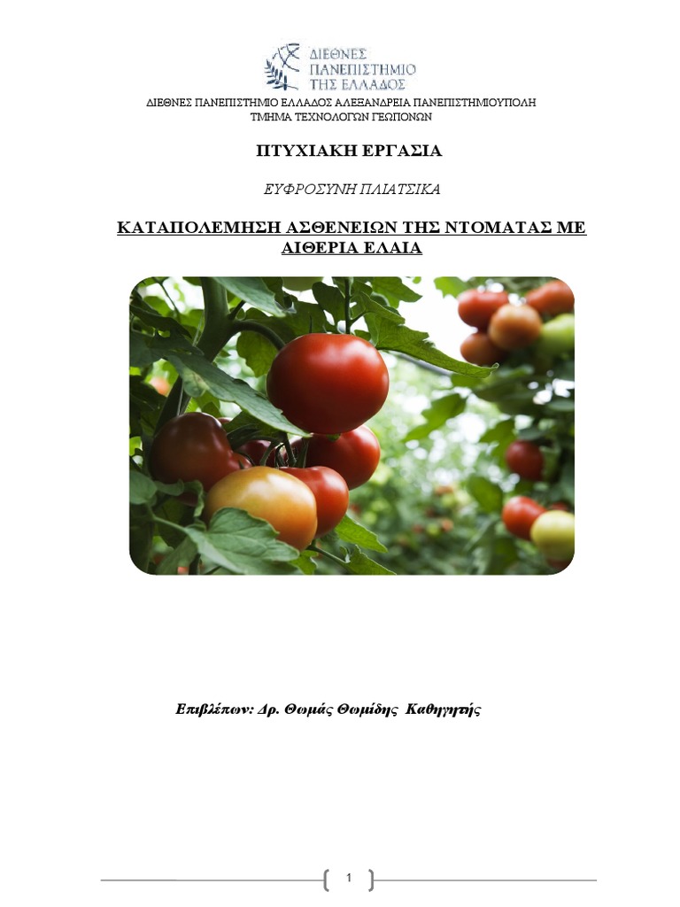 ΠΤΥΧΙΑΚΗ ΦΡΟΣΩ ΠΛΙΑΤΣΙΚΑ | PDF