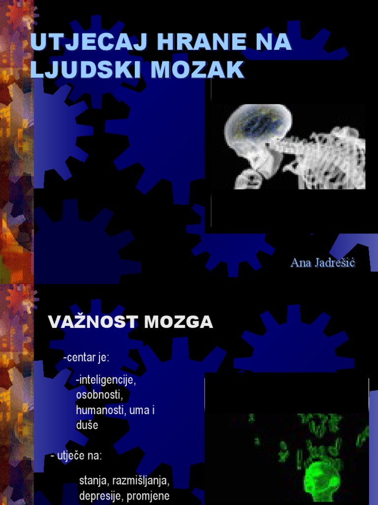 Utjecaj Hrane Na Ljudski Mozak | PDF