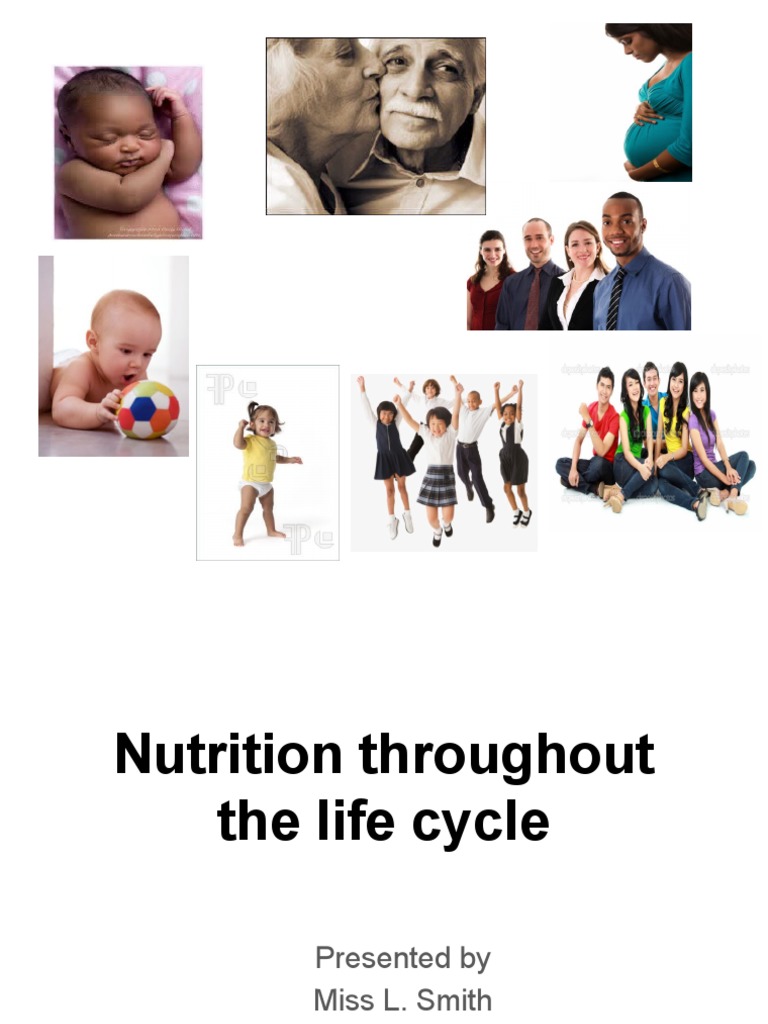 Nutrition Life Cycle | PDF | Food Energy | Breastfeeding