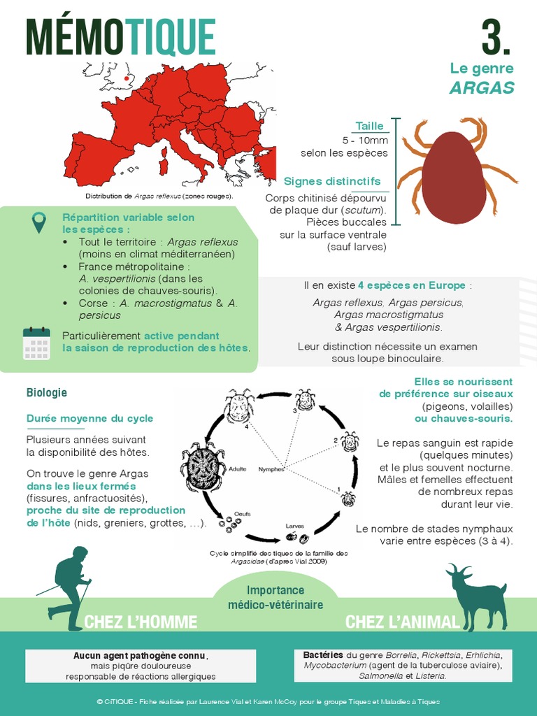 Citique Fiche Tique Argas | PDF | Organismes