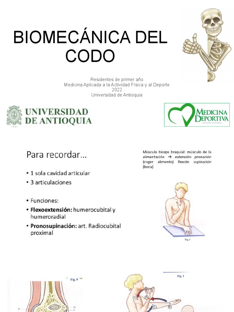 Biomecánica Del Codo Completa Pdf