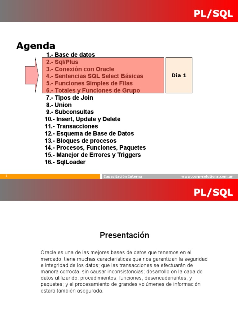 1 CursoPL SQL Conceptos Basicos | PDF | SQL | Bases de datos