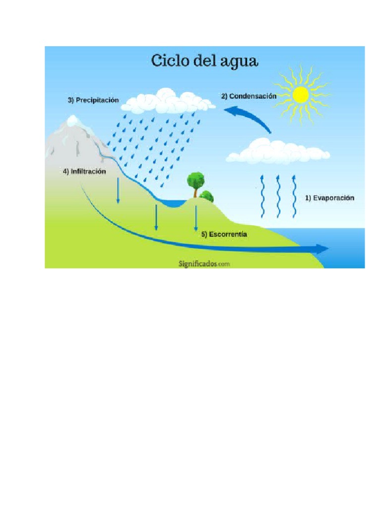 Ciclo Del Agua | PDF