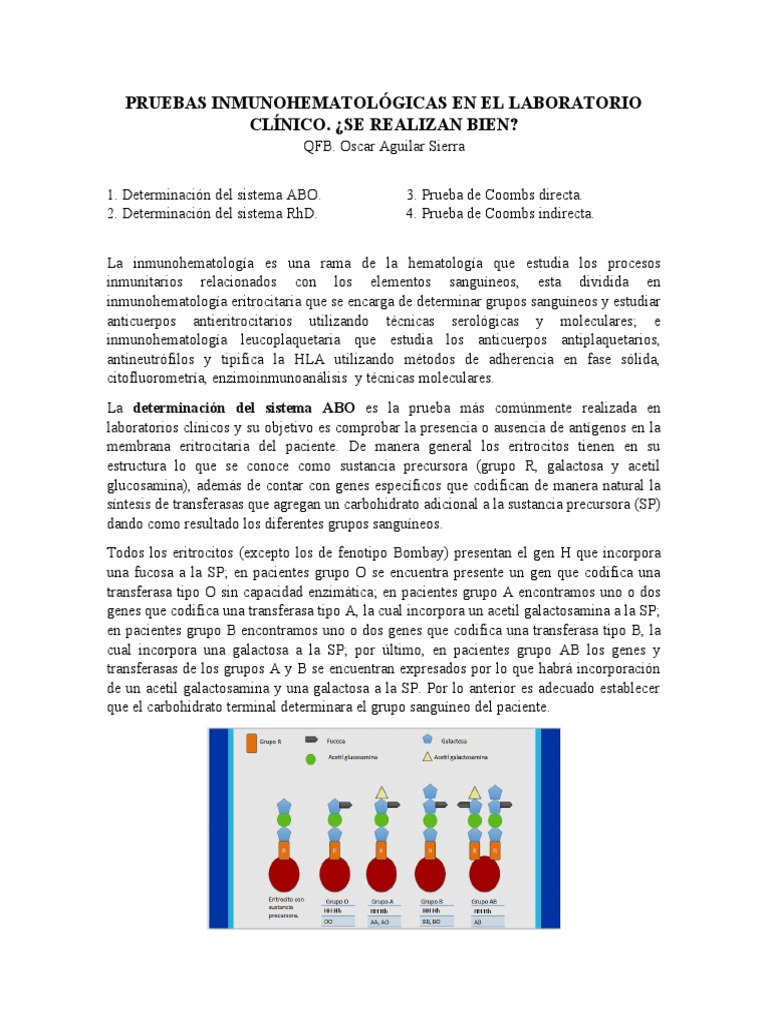 Pruebas de Inmunohematología en Laboratorio | PDF | Tipo de sangre ...