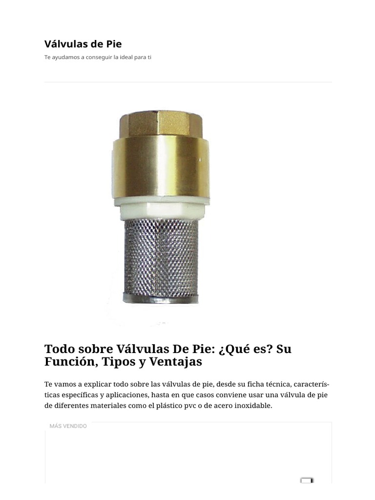 Todo sobre Válvulas de Pie: Función, Tipos y Ventajas | PDF | Bomba ...