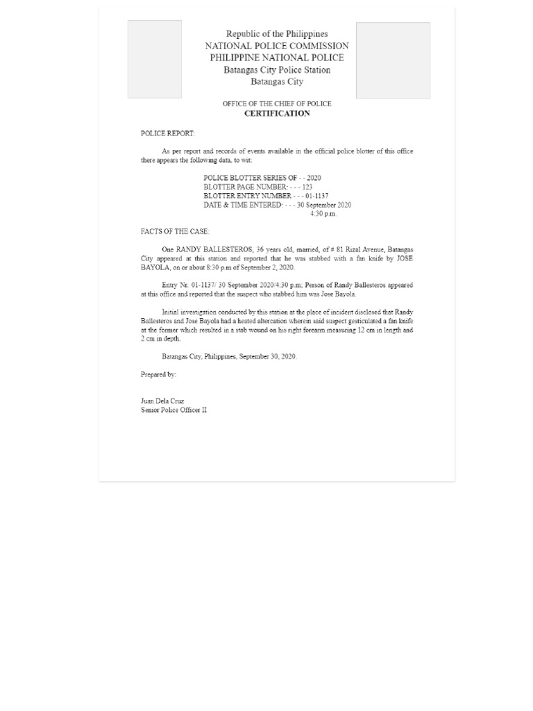 Police Report - Docx Google Docs | PDF