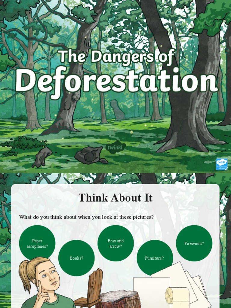 Deforestation Facts for Kids | PDF | Deforestation | Rainforest