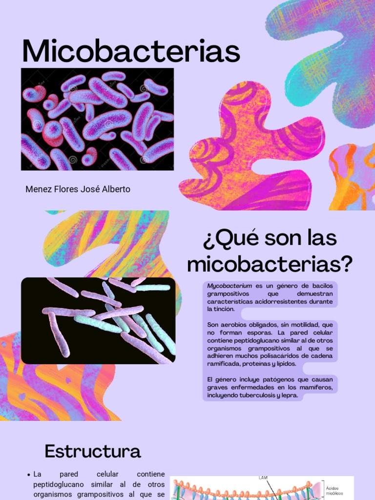 Estructura y características de micobacterias | PDF | Mycobacterium ...